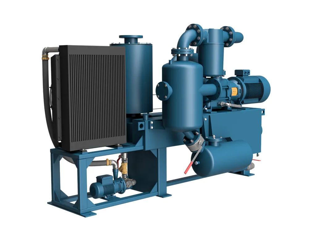 Troubleshooting: Liquid Ring Pumps