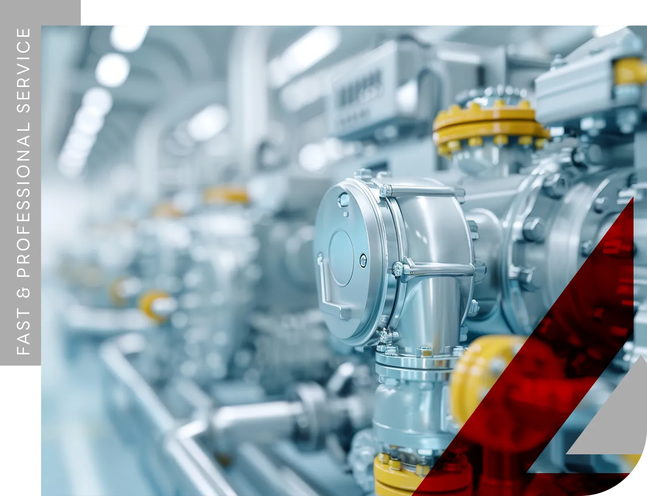 FAST-&-PROFESSIONAL-SERVICE