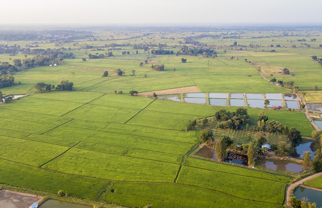 Ban Laem Community, Suphan Buri