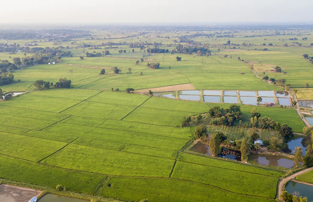 Ban Laem Community, Suphan Buri