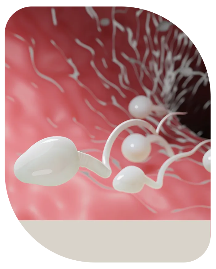 หน้าแรก