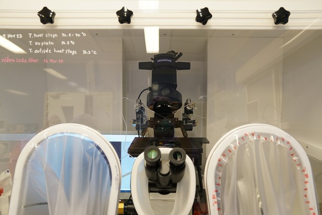 Elevating IVF Excellence with Cutting-Edge Facilities