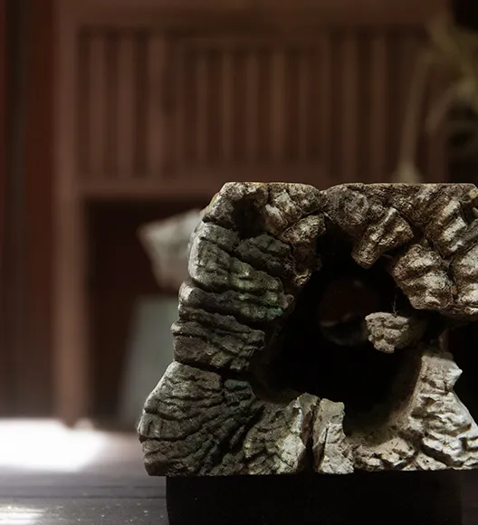 HOME [www.volumematrixstudio.com]