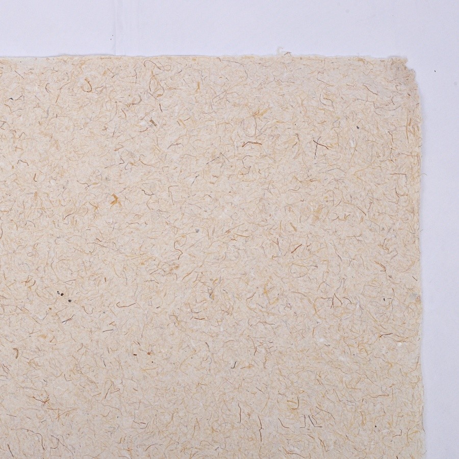 Corn paper sheet กระดาษเยื่อข้าวโพด