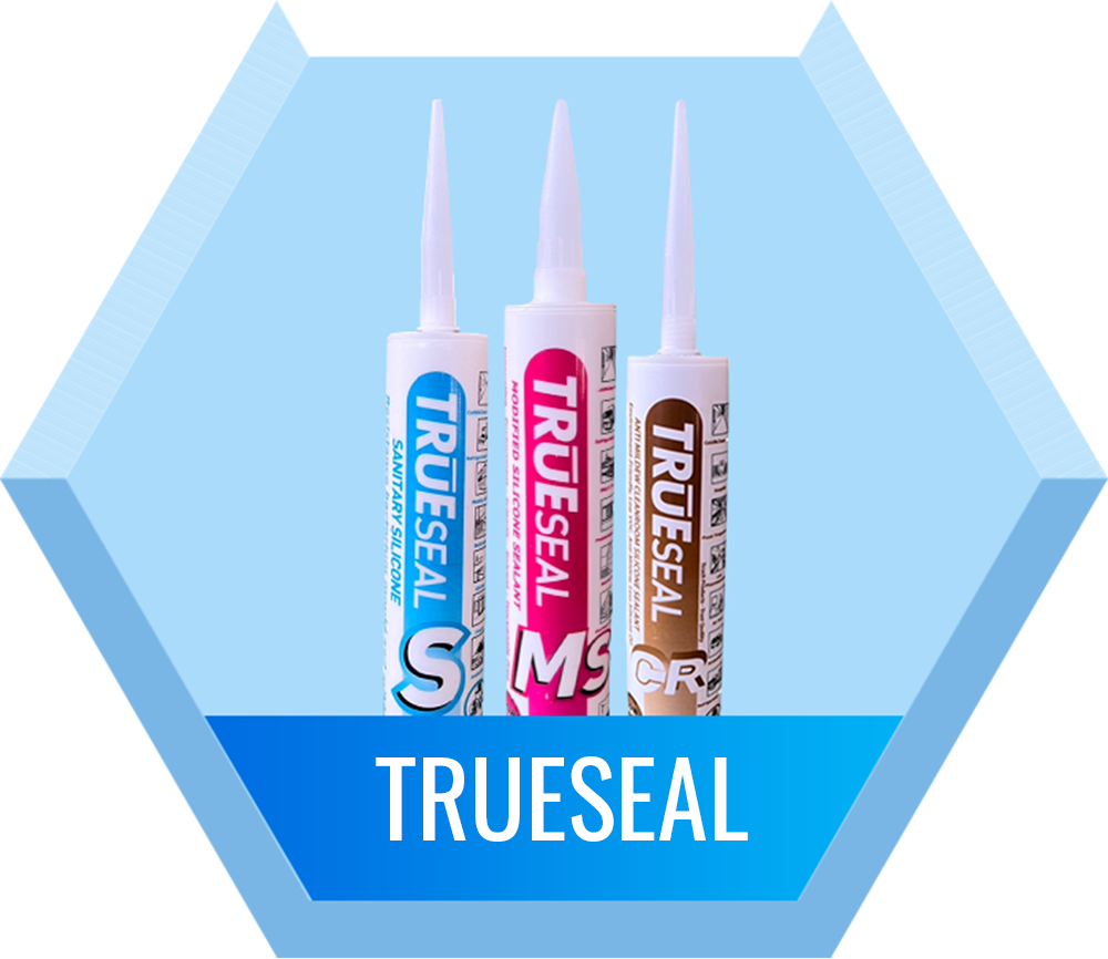 หน้าแรก