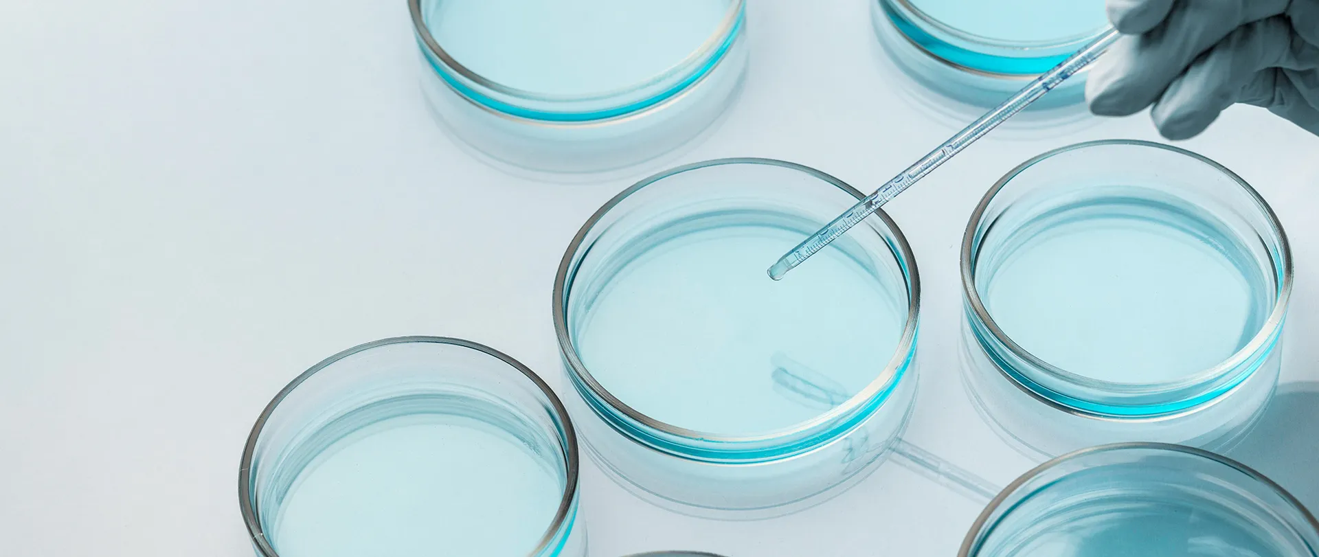 Baxel The Biotech Company | Baxel