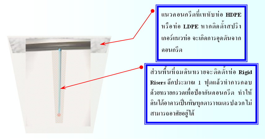 งานกำจัดปลวก2