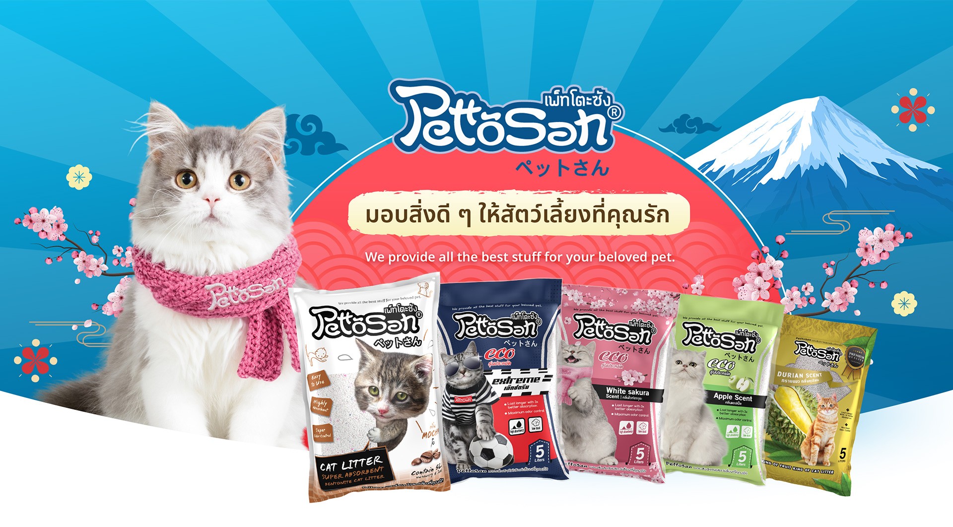 หน้าแรก