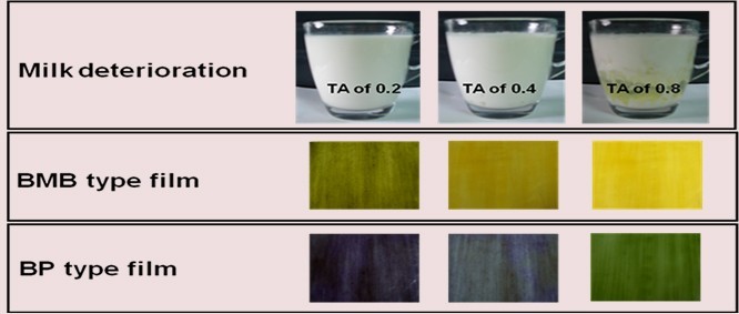 Hathaikarn Manuspiya