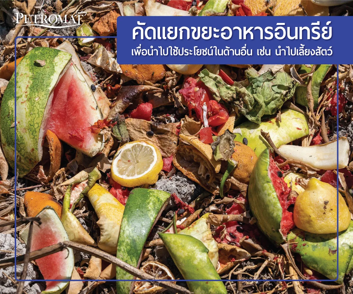 Circular Food Economy กู้วิกฤตอาหารด้วยแนวทางเศรษฐกิจหมุนเวียน