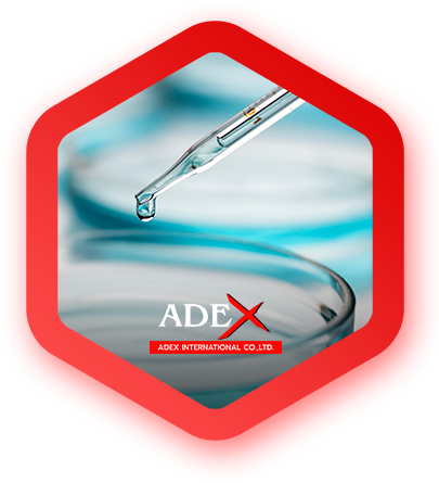 หน้าแรก