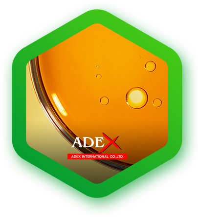 หน้าแรก