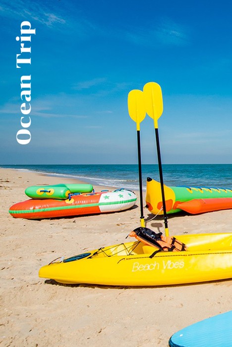 หน้าแรก