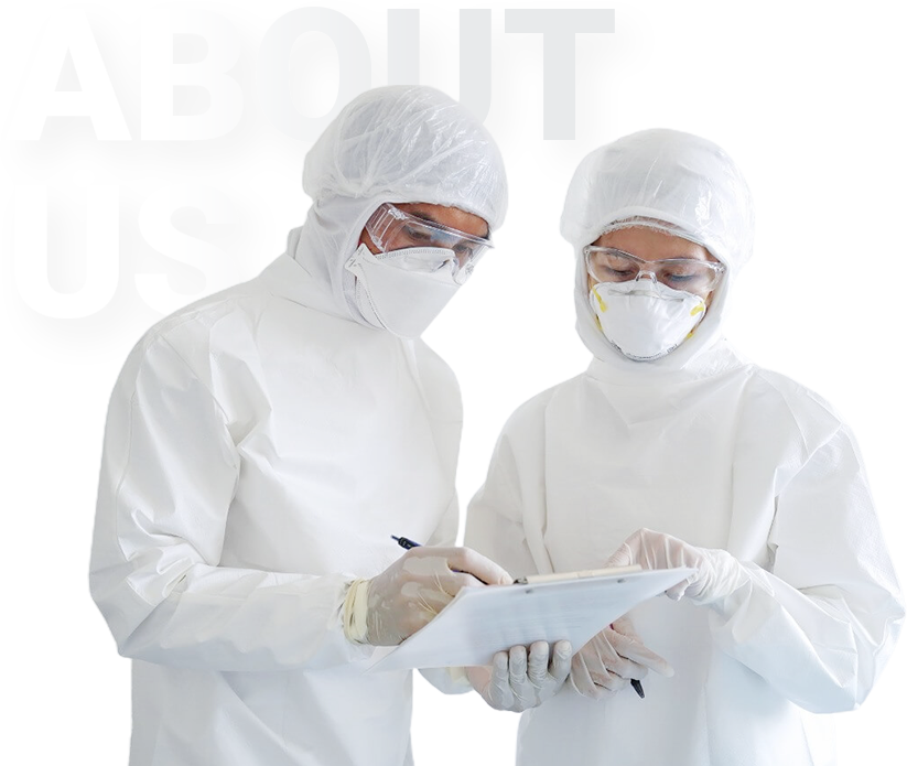 หน้าแรก