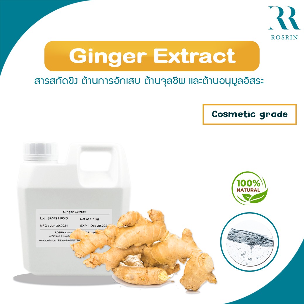 Ginger Tincture Liquid Extract - Digestive Aid, Circulation, Motion ...