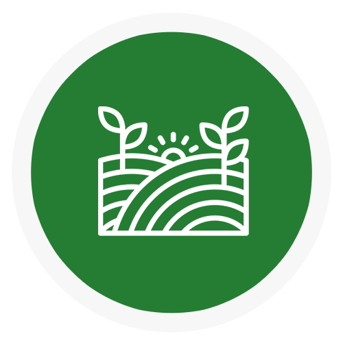 OPEN-FIELD-icon