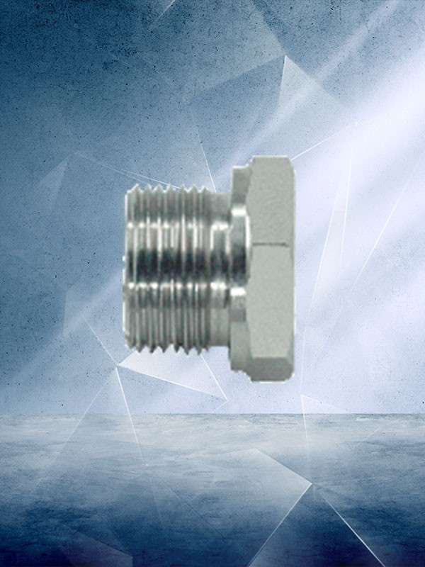 Pipe Fittings and Port Adapters