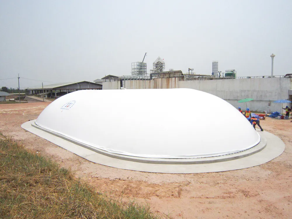 HDPE biogas digester