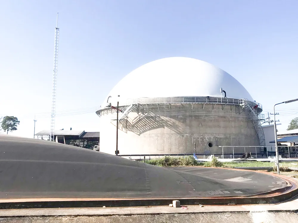 HDPE biogas digester
