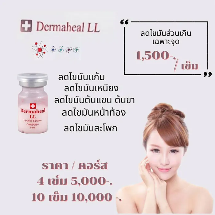 เมโสแฟต (Mesofat)