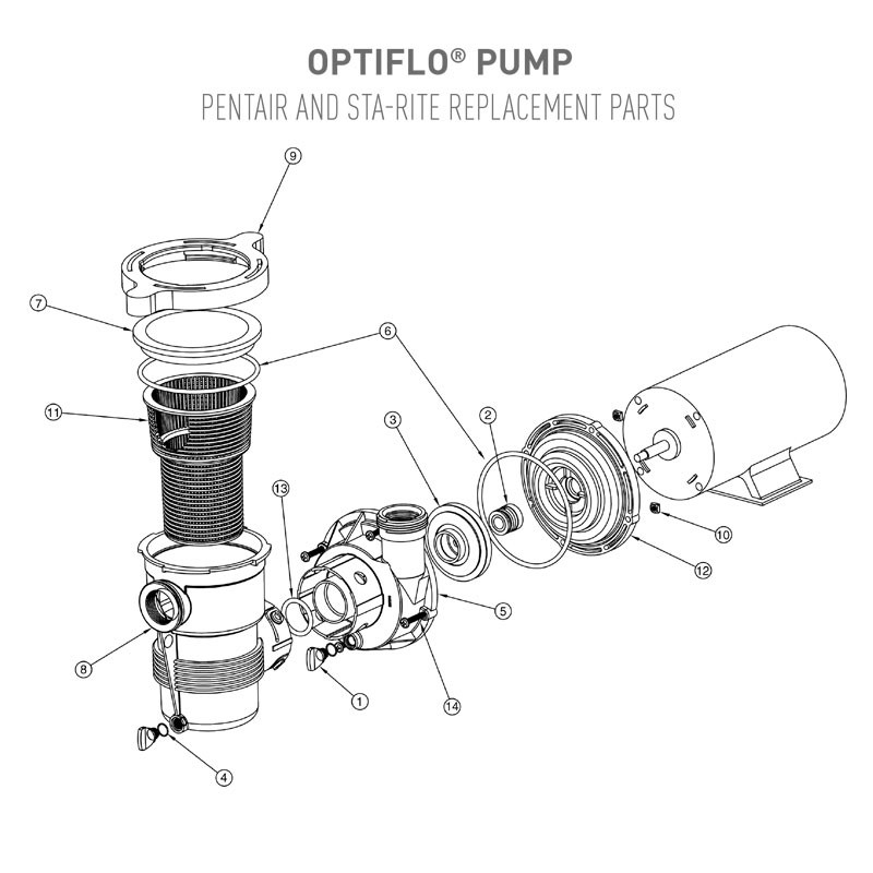 ปั๊มสระว่ายน้ำ ปั๊มน้ำสระว่ายน้ำ PUMP OPTIFLO ปั๊มคุณภาพ ราคาประหยัด ...