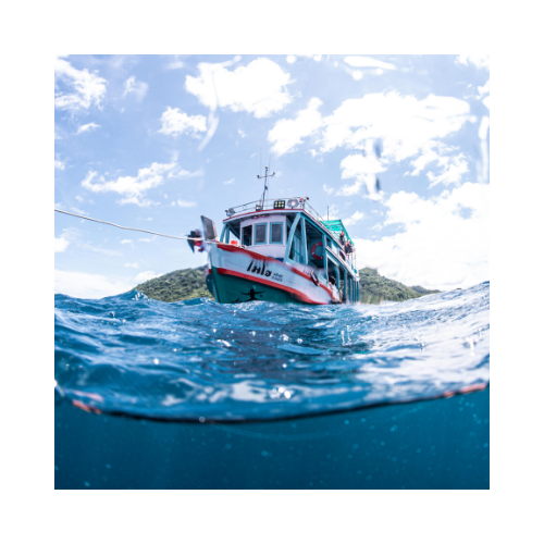 Mojo diver Kohtao Fundive