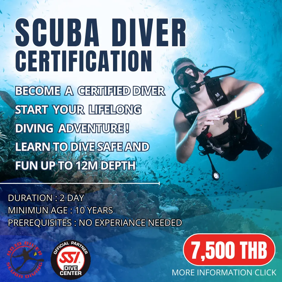 Mojo diver Kohtao Start Diving