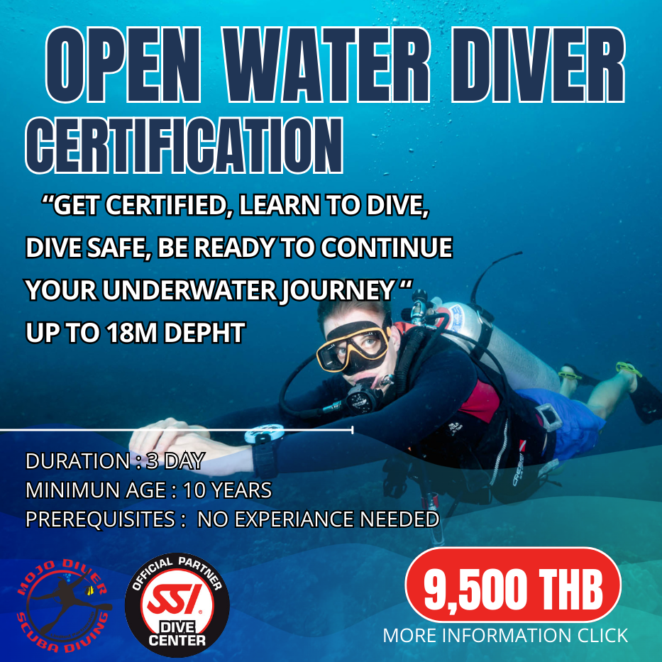 Mojo diver Kohtao Start Diving