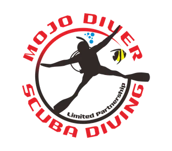 MOJO DIVER Kohtao
