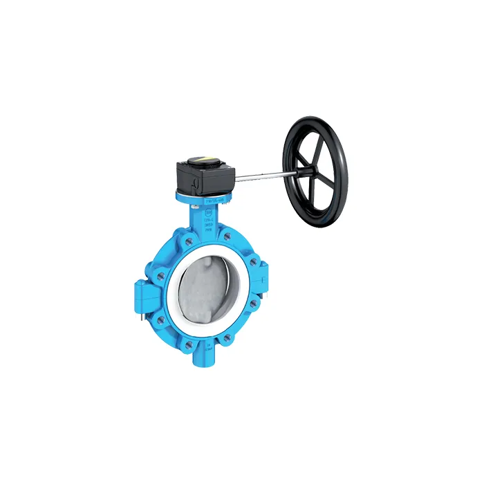 T214-C EBRO ARMATUREN PTFE Valve