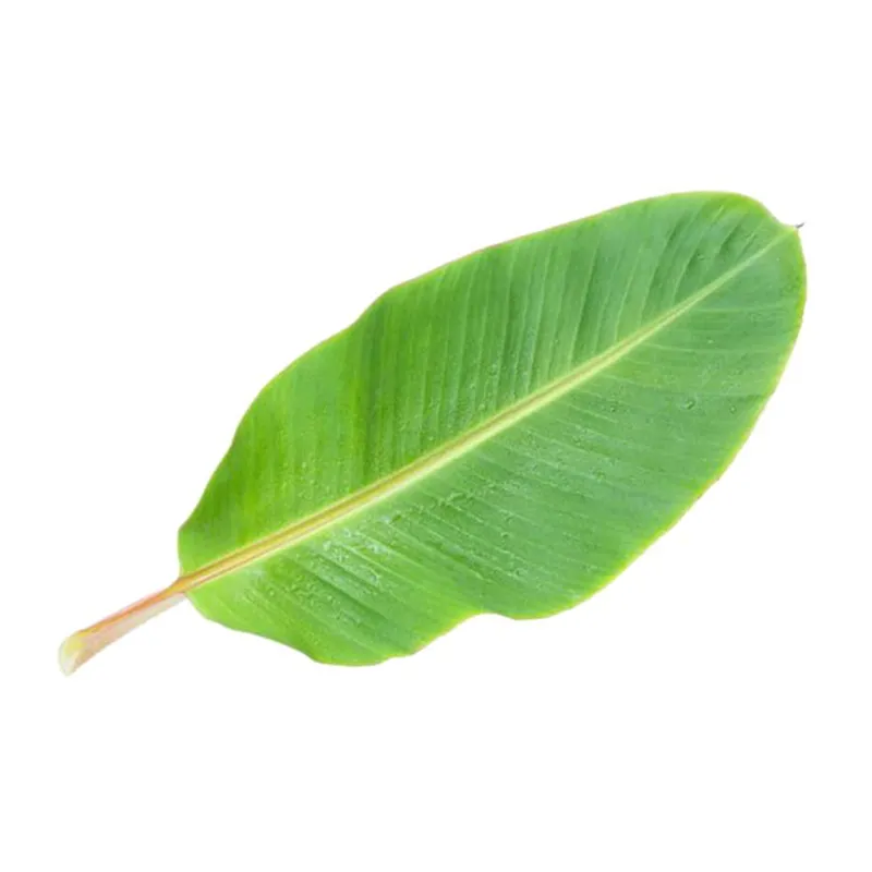Banana Leaves