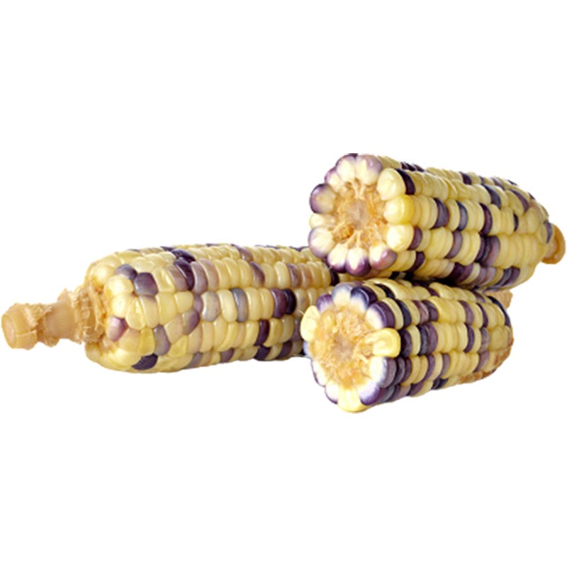 3 Colors Corn