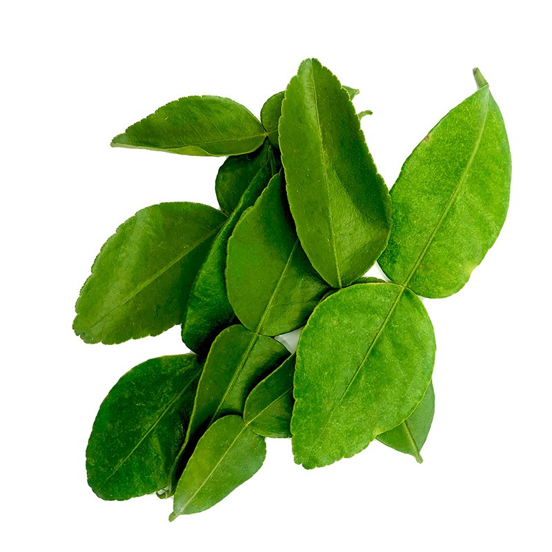 Lime Leaves