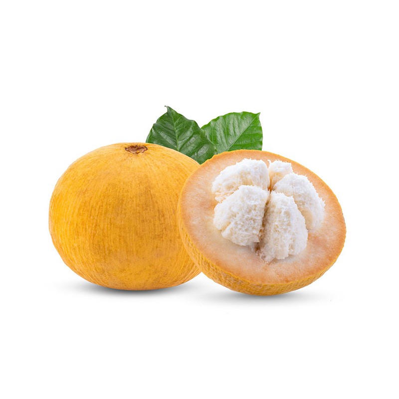 Santol