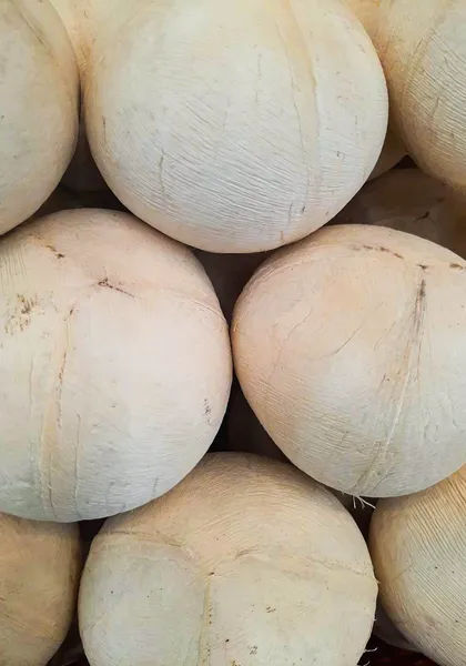Coconut