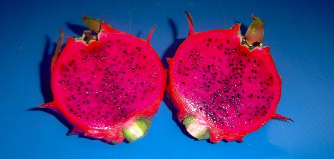Dragon Fruit