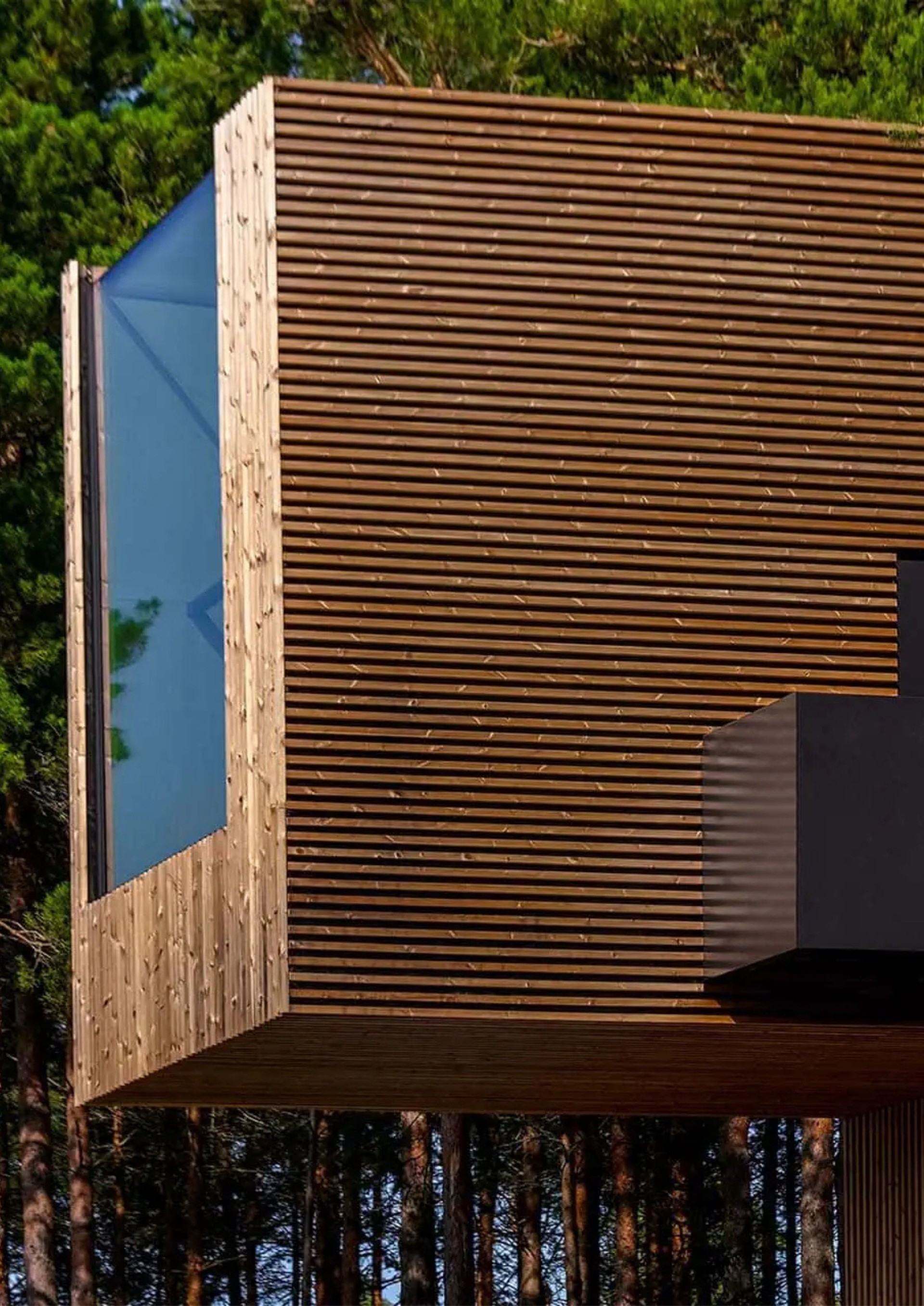 Thermo Pine Cladding