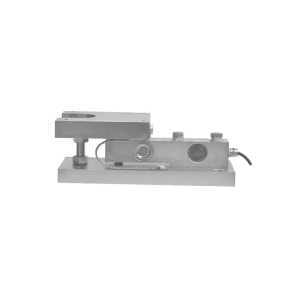 SB-A/SS STATIC WEIGHING MODULE