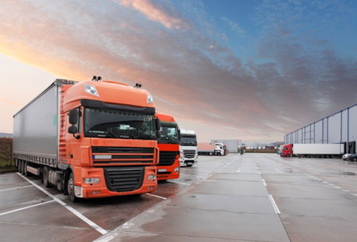 Transportation Management System (TMS)