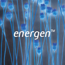 Energen™ - hydrating revitalizing and energizing