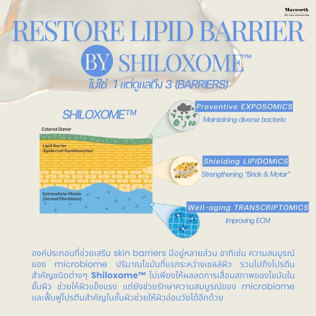 Shiloxome™ - a multi-ome skin protection