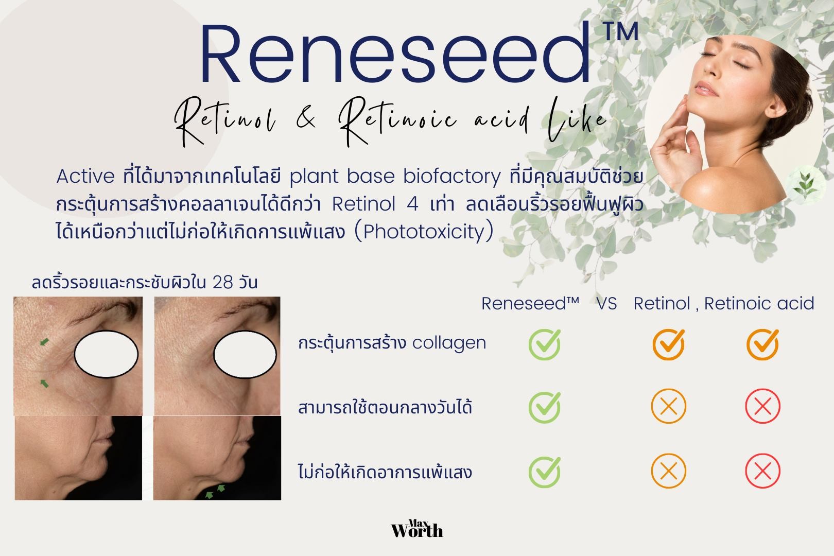 Reneseed™- the seed of youth