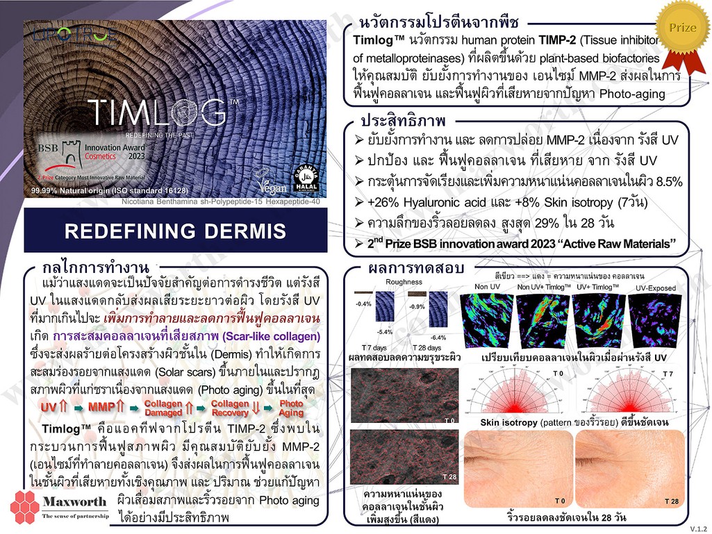 Timlog™- redefining the past