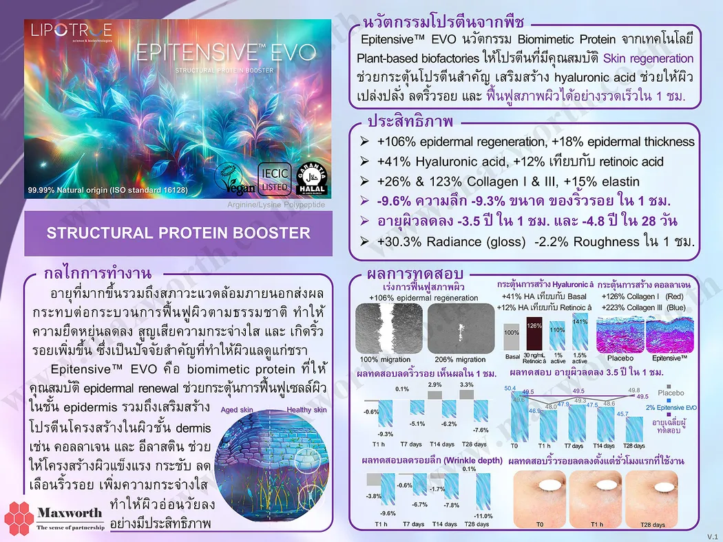 EPITENSIVE™ EVO – structural protein booster