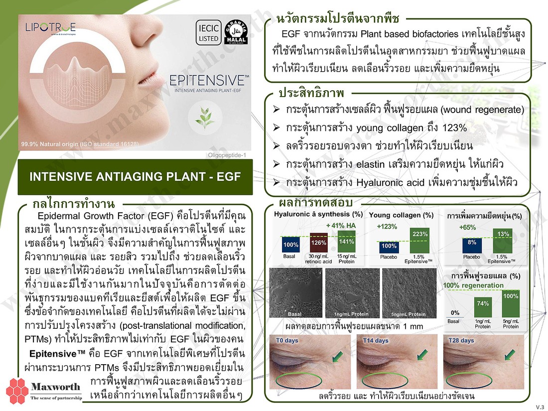 Epitensive™- intensive antiaging plant-EGF