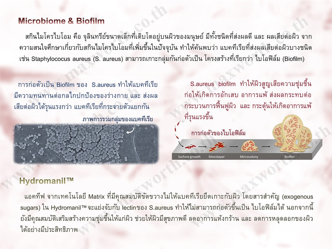 Hydromanil™ - immediate and cumulative moisturising activiy