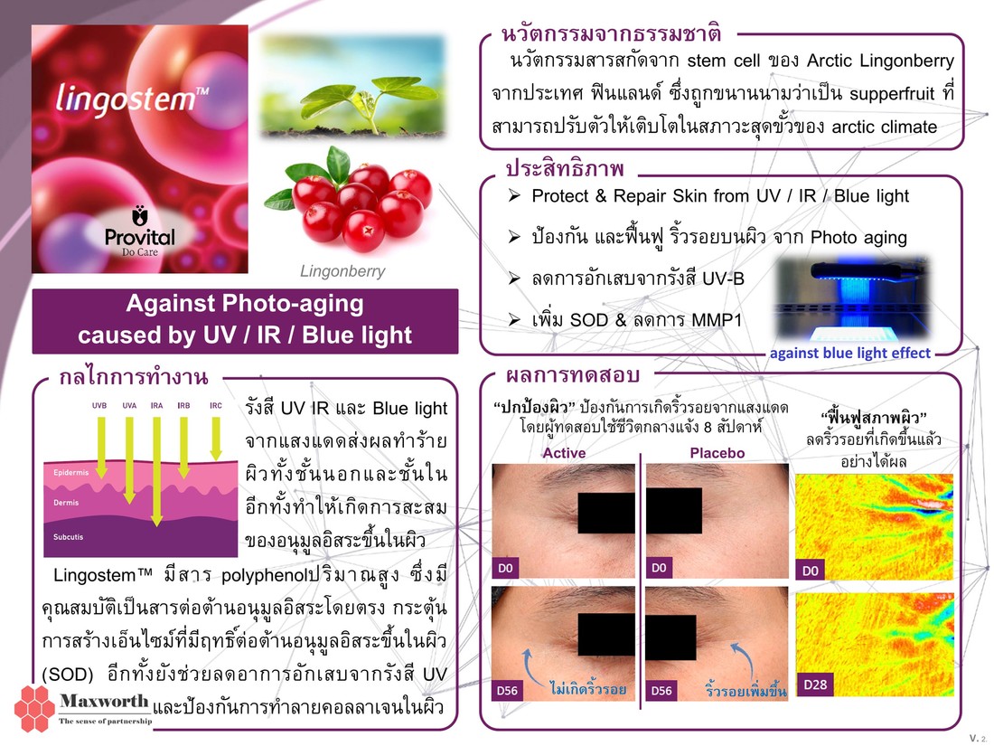 Lingostem™ - against skin photoaging by IR and UV