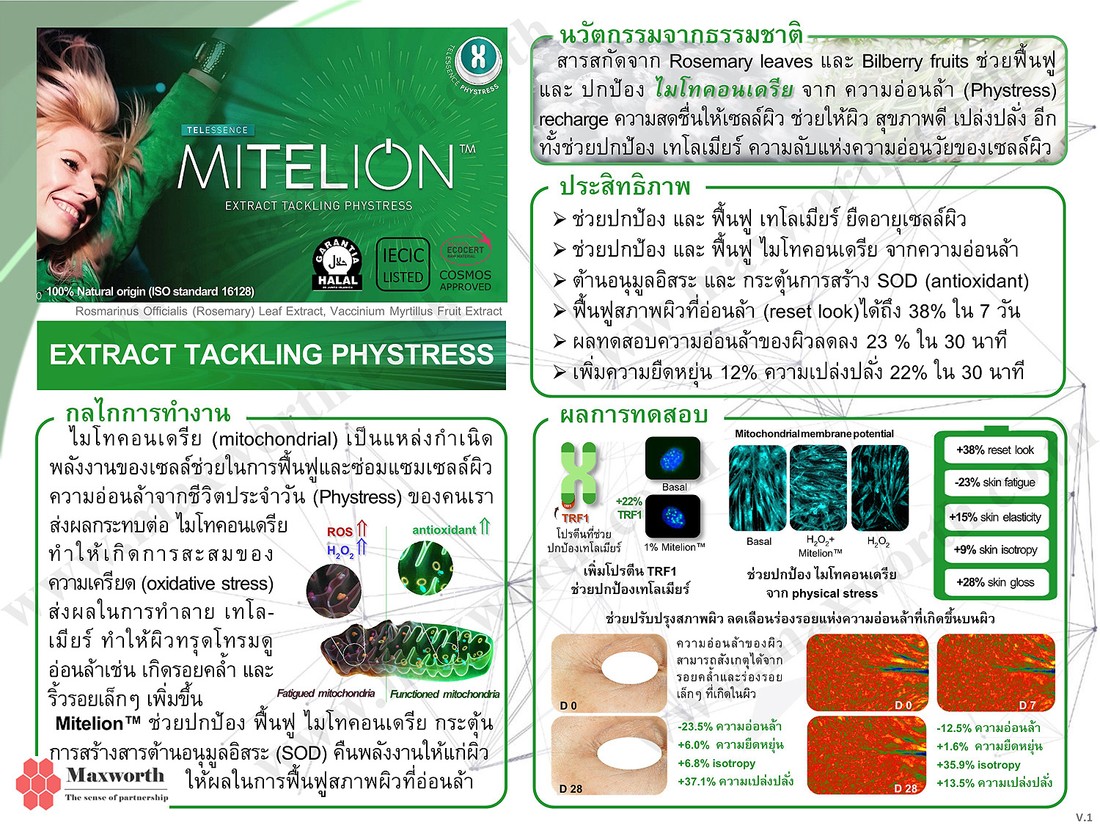 Mitelion™ - extract tackling pystress