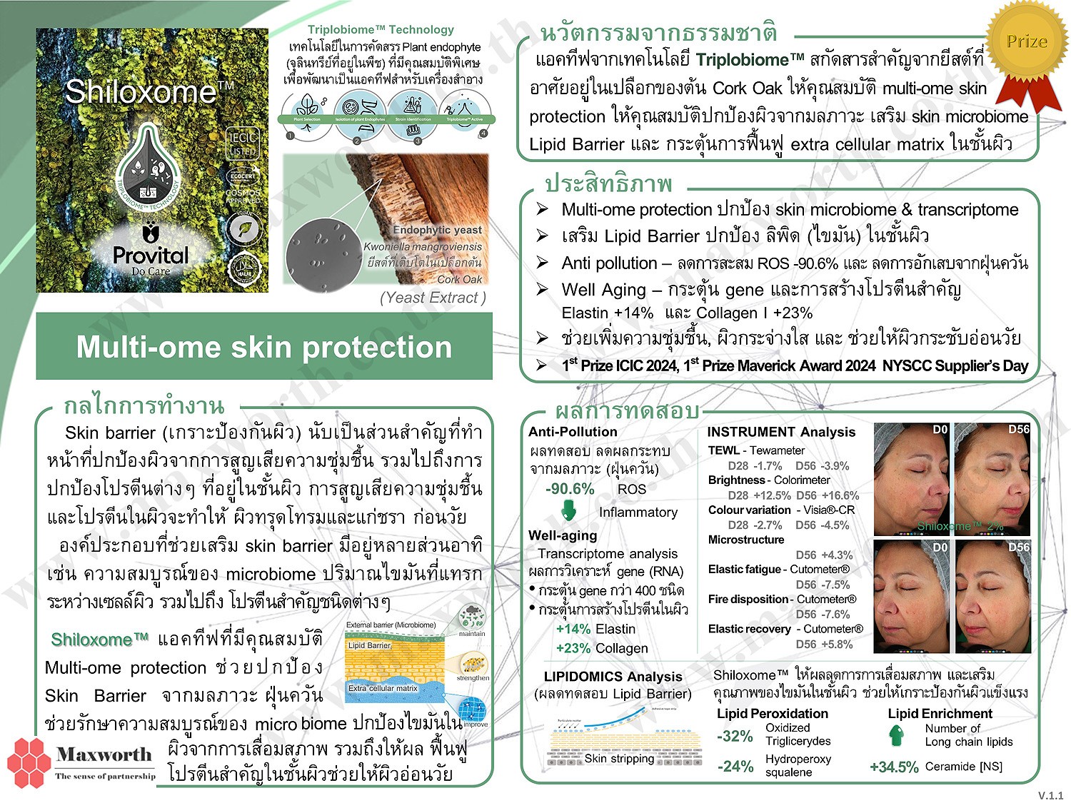 Shiloxome™ - a multi-ome skin protection