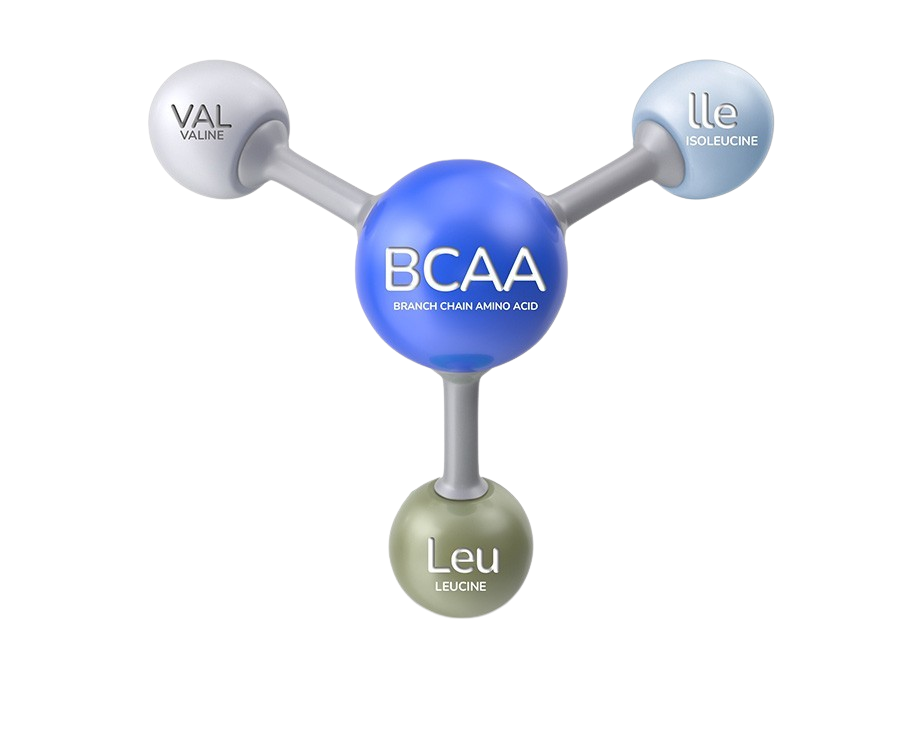 BCAA IV Drip